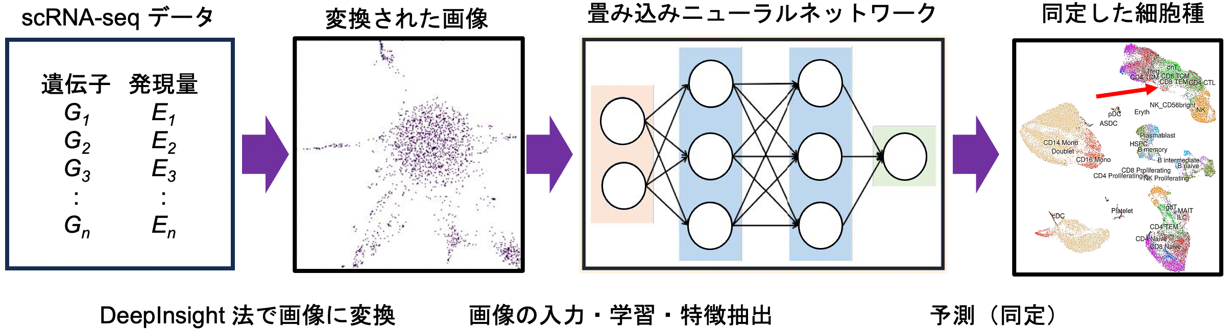 Press Releases - 東京大学 大学院理学系研究科・理学部